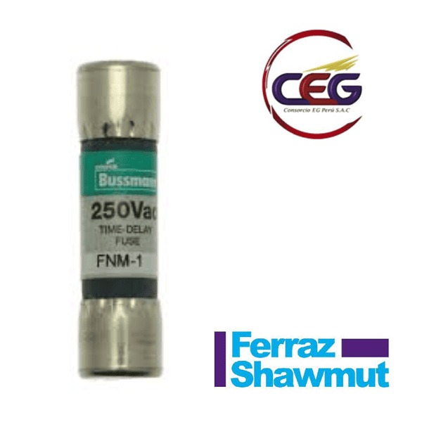 FNM-1 - Consorcio EG Peru Eaton Peru